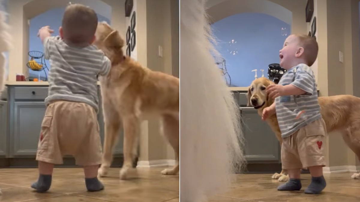 Baby & Dog Fascinated by Bubbles Steal Hearts - DogTime