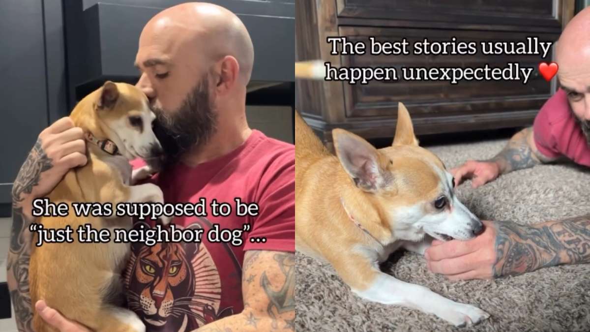 Dog Sneaks Into Neighbor’s House Through Fence, Then Comforts Grieving ...