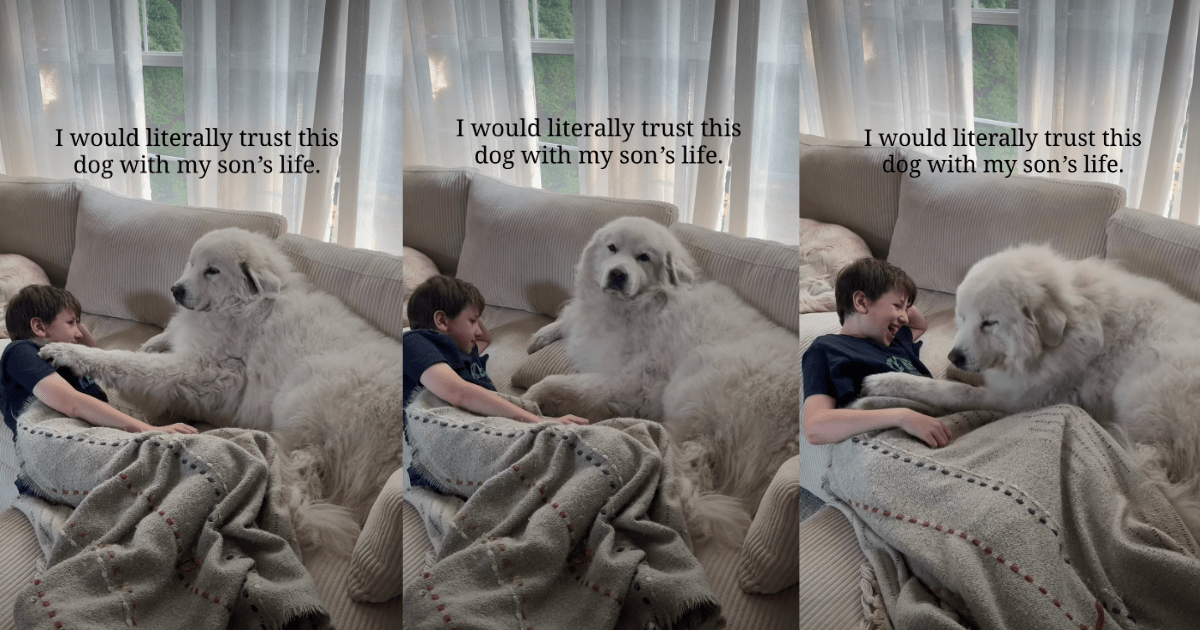 Dog Grew up With Little Boy & Now They Share Unbreakable Bond - DogTime