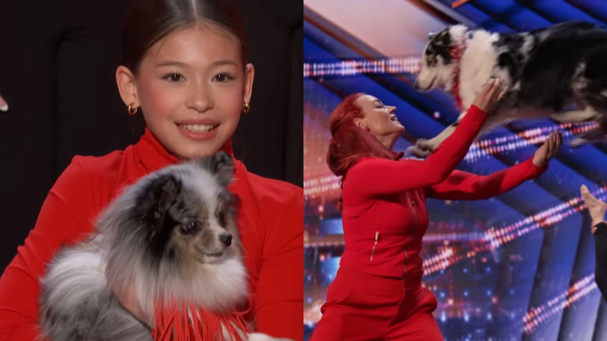 Surprise Dancing Dog Act on 'AGT' Wins the Ultimate Golden Buzzer - DogTime