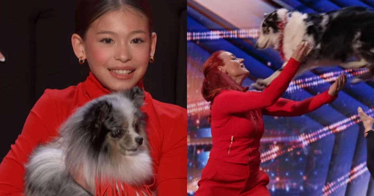 Surprise Dancing Dog Act on 'AGT' Wins the Ultimate Golden Buzzer - DogTime