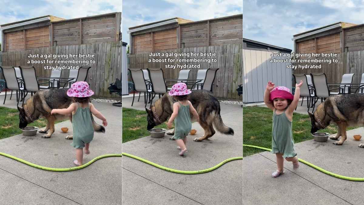 Big Dog Gets the Gentlest Back Pats From Little Girl Who Looks So Proud ...
