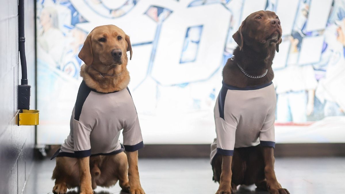 Meet NHL's Stanley Pup 2026 Participants as Competition Nears Premiere ...