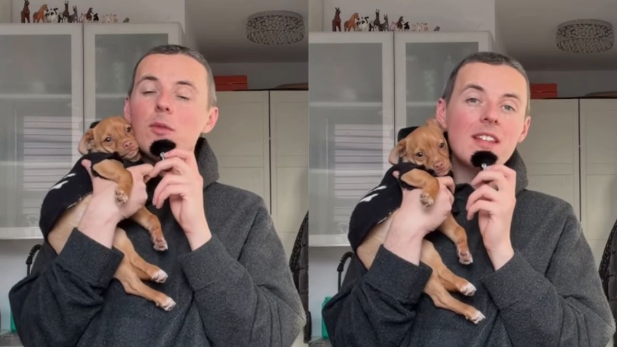 Rescue Dog Has a Message for Human Who Abandoned Him - DogTime