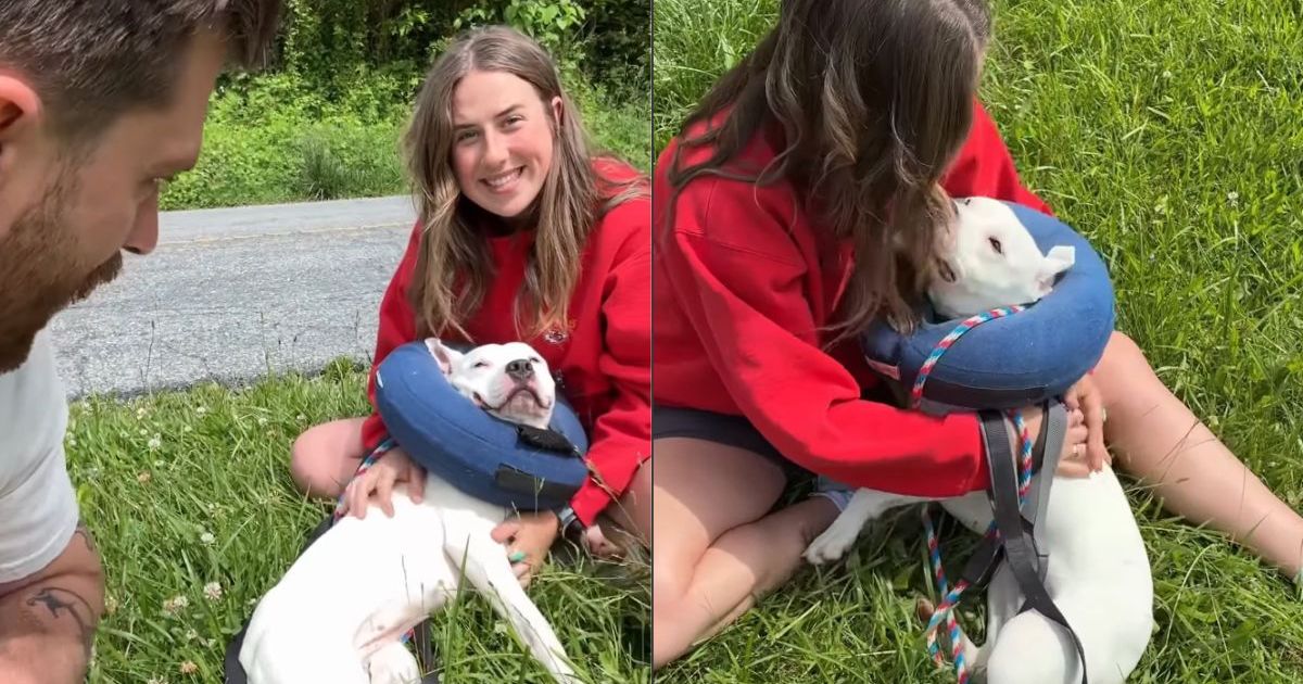 Man Takes Girlfriend on a Date to Dog Shelter & the Rest Is History ...