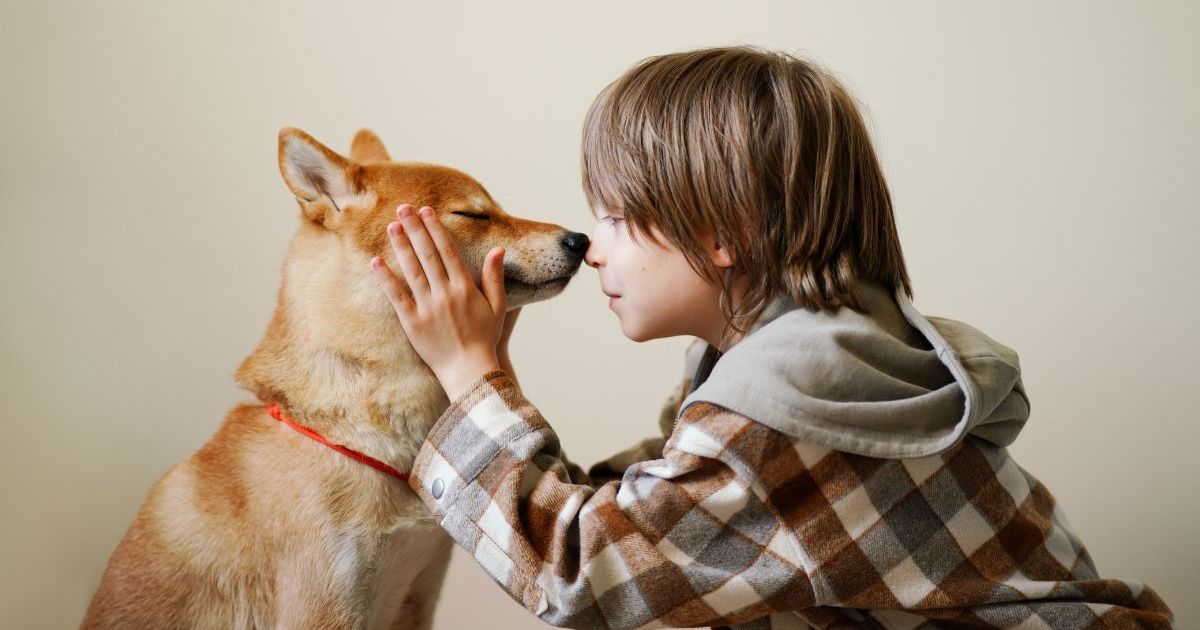 ‘Specially Trained’ Dogs Are Making Hospital Stays Less Scary for Kids ...