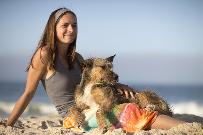 Berger Picard Dog Breed Information, Pictures, Characteristics & Facts