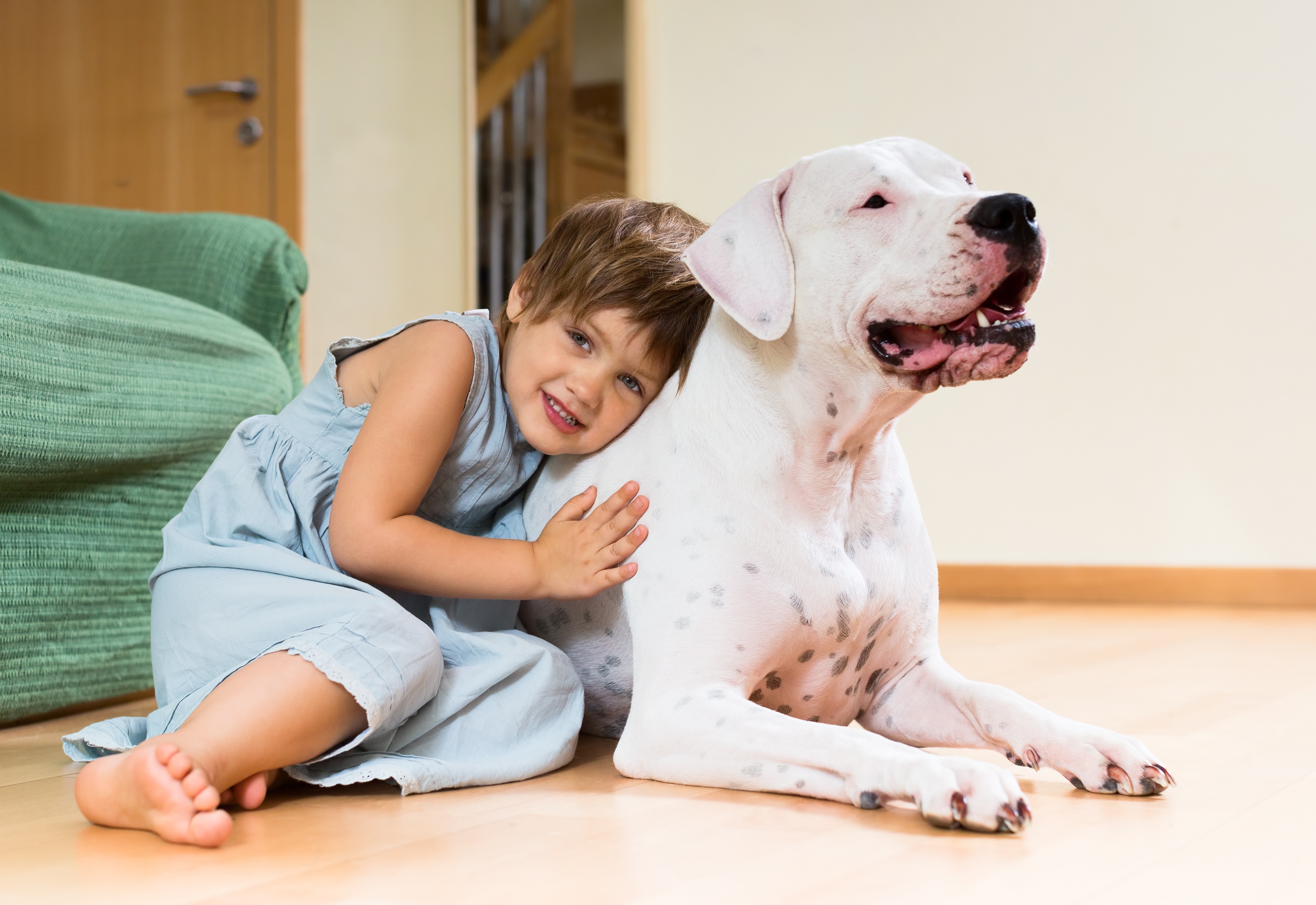 Dogo Argentino Dog Breed Information & Pictures – Dogtime