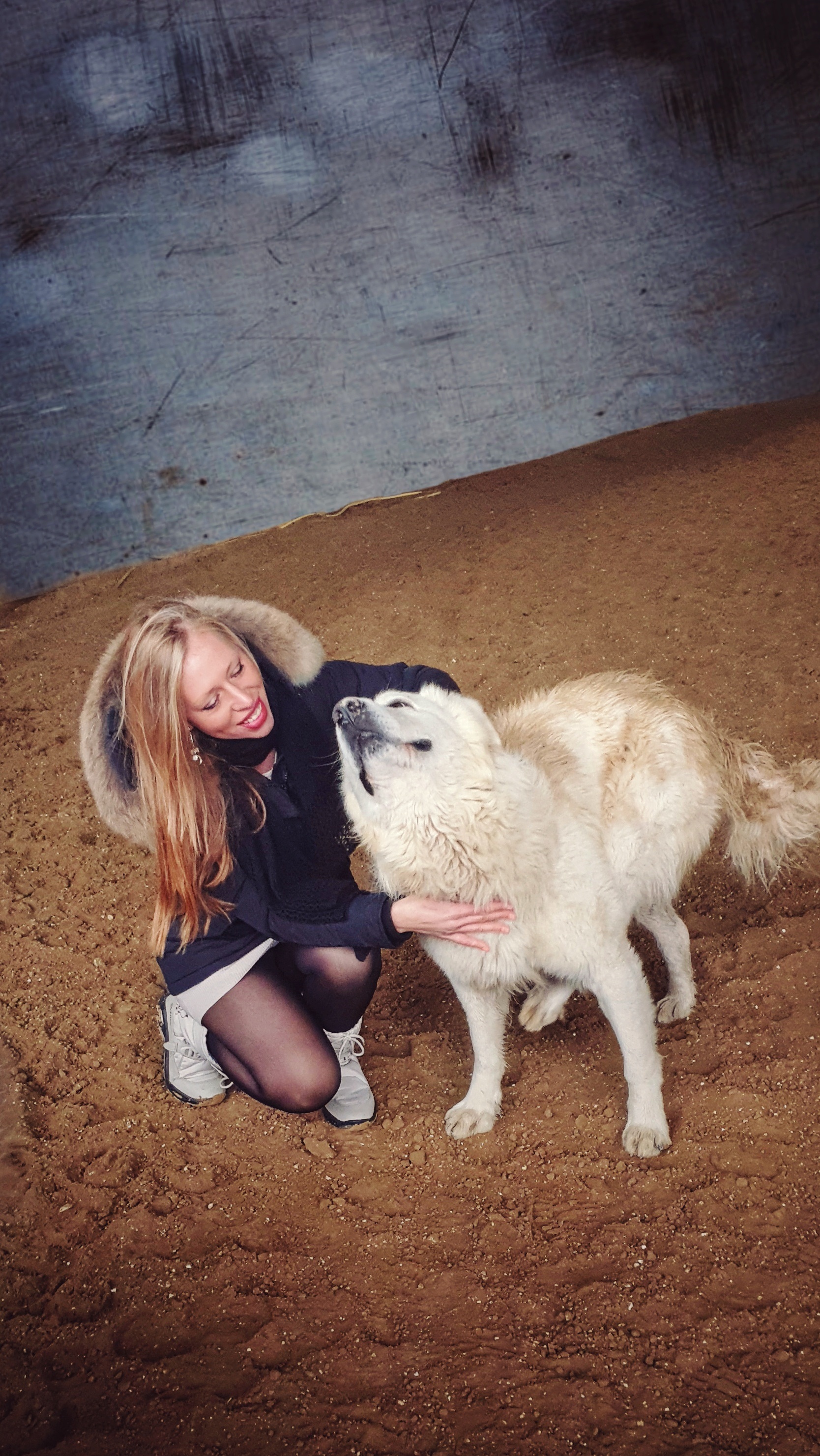 Maremma Sheepdog Breed Pictures, Characteristics, & Facts