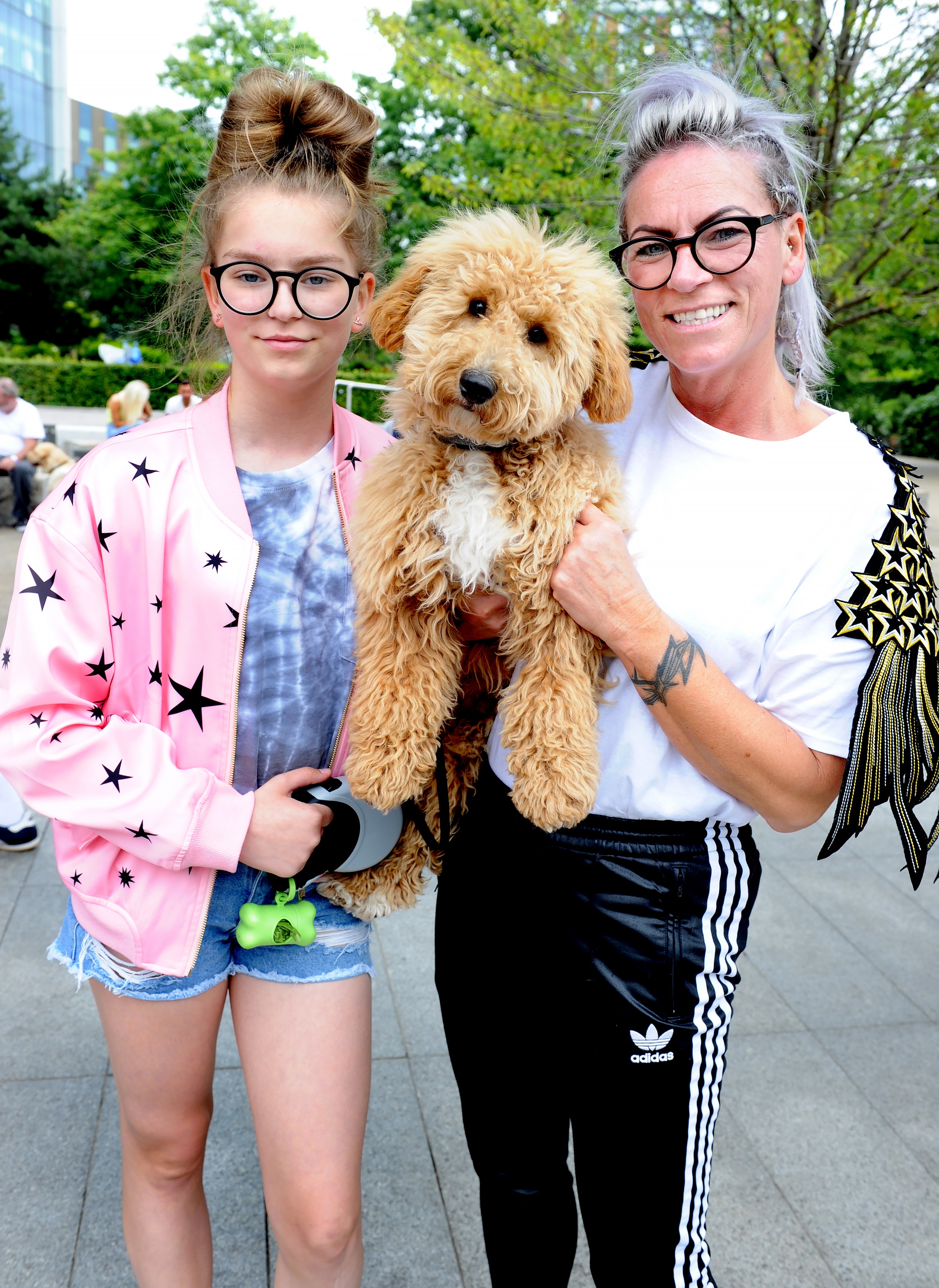 Poochon Mixed Dog Breed Pictures, Characteristics, & Facts
