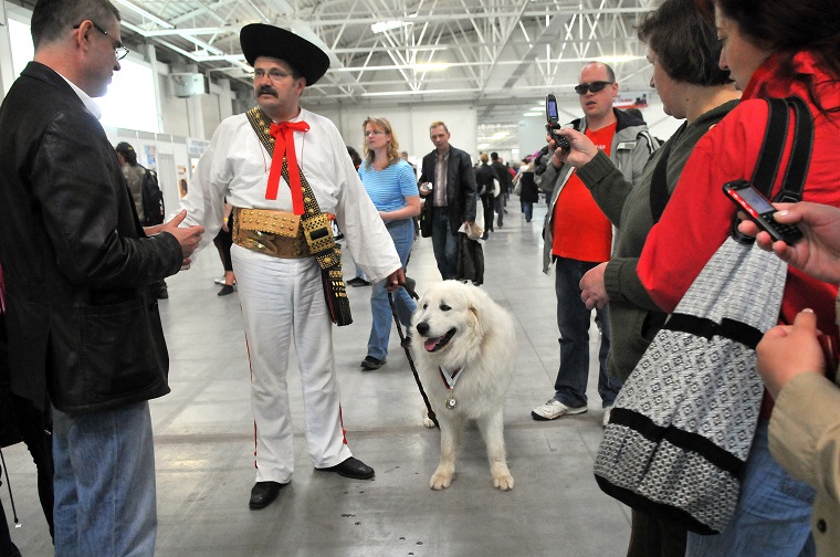 Slovensky Cuvac Dog Breed Pictures, Characteristics, & Facts - DogTime